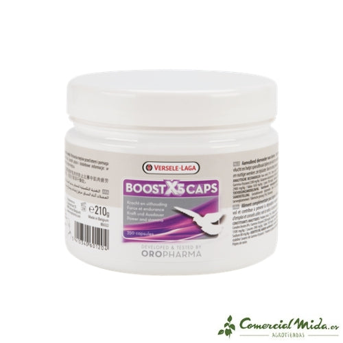 Complément OROPHARMA Boost X5 pour pigeons – Comercial Mida